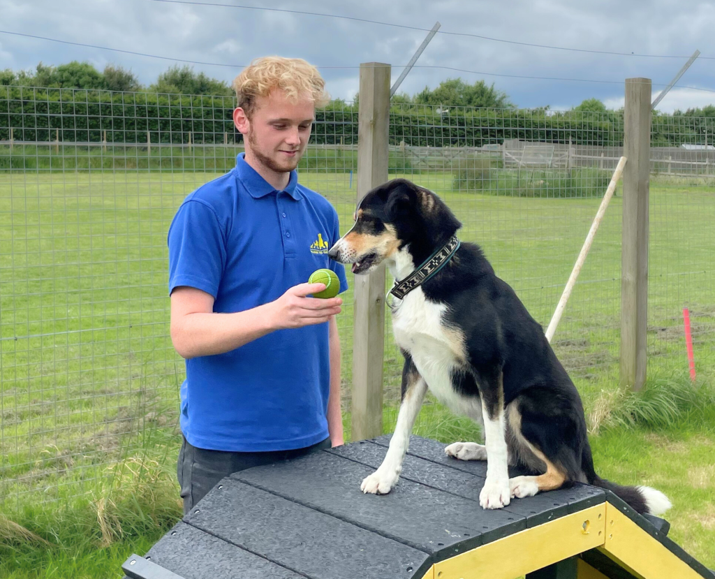 Haddon Training - The Apprenticeship Guide